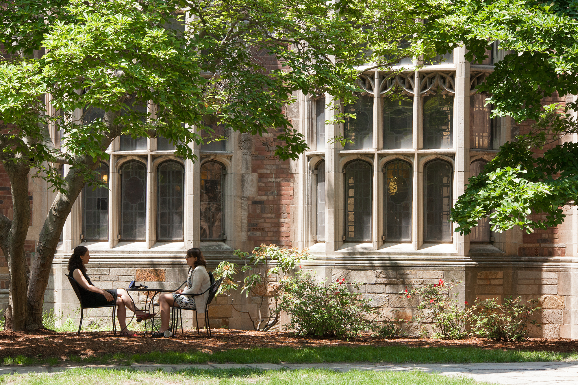 Yale University Whitney Humanities Center | DBVW Architects